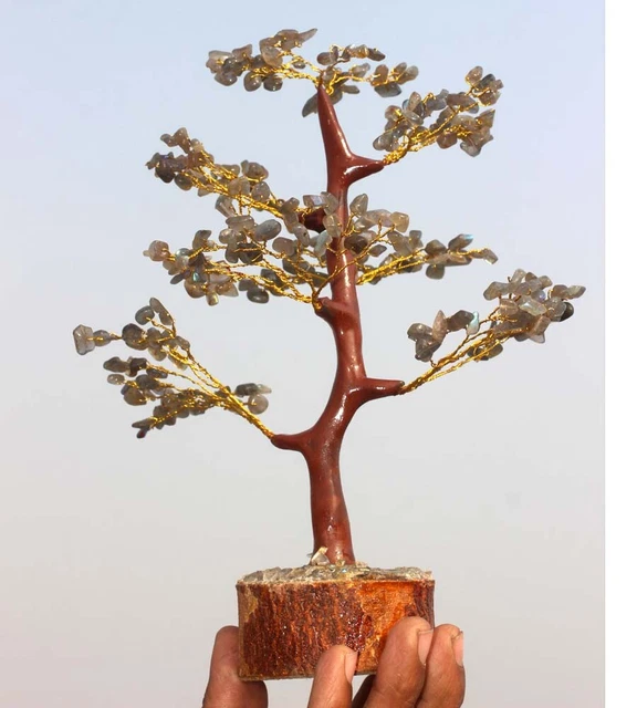 FIERY LABRADORITE DORÉ Succursales Succursales 300+ Bonsaï Money Tree ...