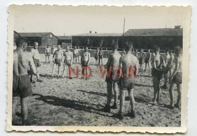 Wwii German War Photo Nude Naked Soldiers Sunbathing 6 Eur 9 18
