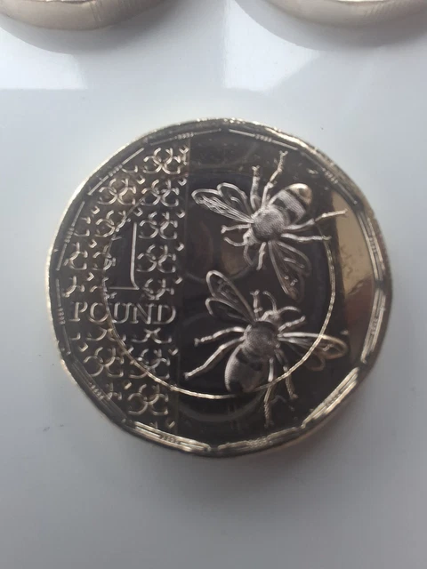 2025 KING CHARLES Ill £1 One Pound coin Bee s From A Sealed Bag. x One ...
