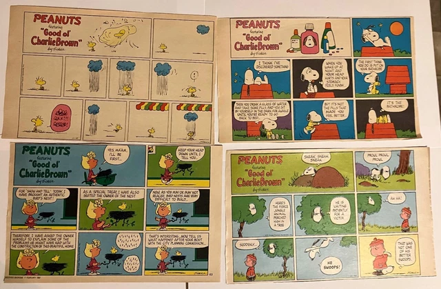 VINTAGE SNOOPY PEANUTS Charlie Brown Newspaper Comic Strip Charles ...