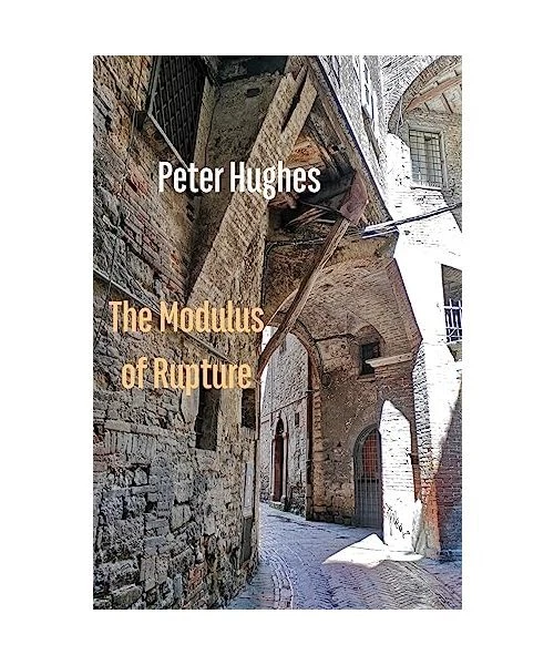 THE MODULUS OF Rupture, Peter Hughes EUR 15,69 - PicClick FR