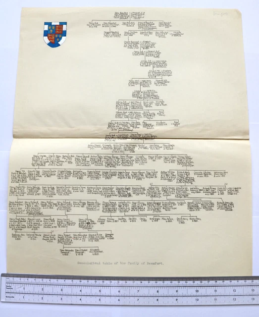 BEAUFORT FAMILY, GENEALOGICAL Table, Family Tree ca. 1950 £21.95 ...