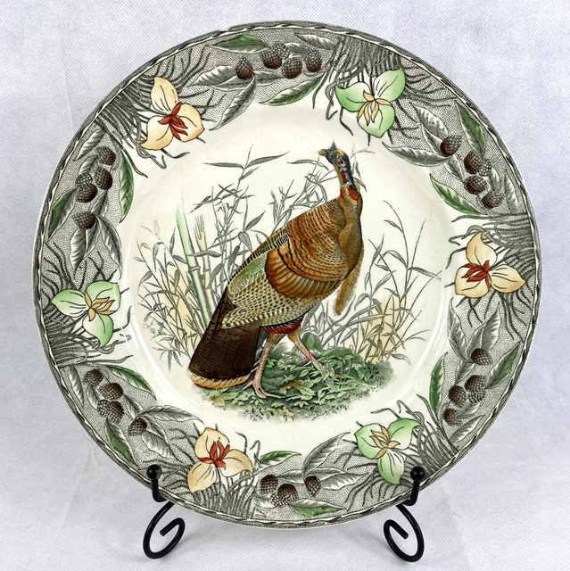 VINTAGE JOHN AUDUBON The Birds of America Plate Wild Turkey Adams ...