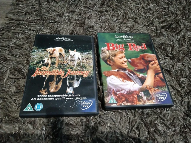 THE INCREDIBLE JOURNEY / Big Red (DVD) Disney, 2 Movies £4.95 - PicClick UK