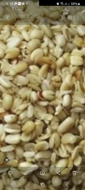 UKWA ,BREAD FRUIT :-Tastìy fresh and frozend ukwa.500g@18.50+£3.30 ...