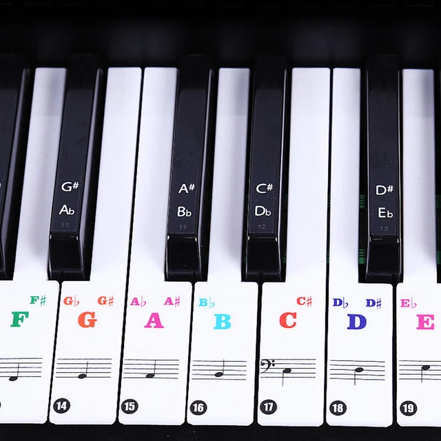 MUSIC NOTE CHART Piano Stickers Clear Removable Decal for 88 Keys ...