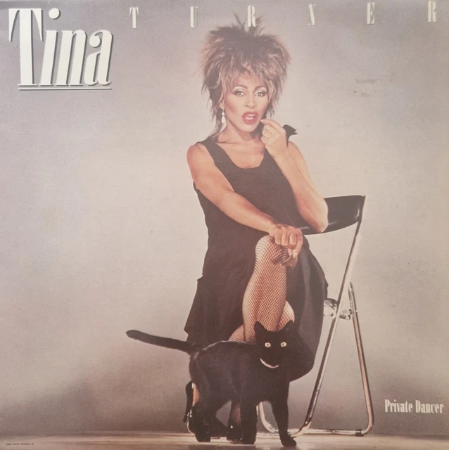 TINA TURNER PRIVATE Dancer 12" Vinyl [VG Condition] £2.49 - PicClick UK