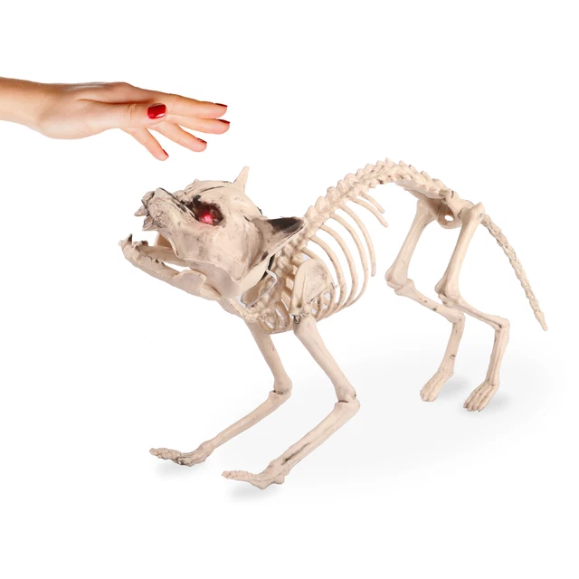 HALLOWEEN LIFE SIZED Cat Skeleton Led Eyes And Sound Dead Animal Prop ...