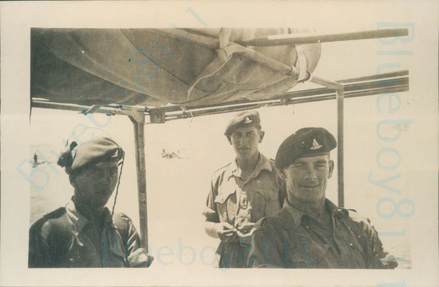 1950S BRITISH ARMY Egypt Royal Artillery men posing for photo 3.75*2.5 ...