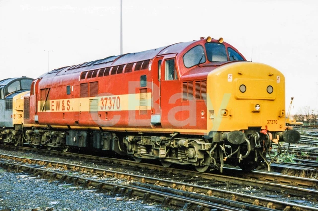 UK RAILWAY PHOTOGRAPH Class 37 Locomotive 37370. RM37-1072 £1.70 ...