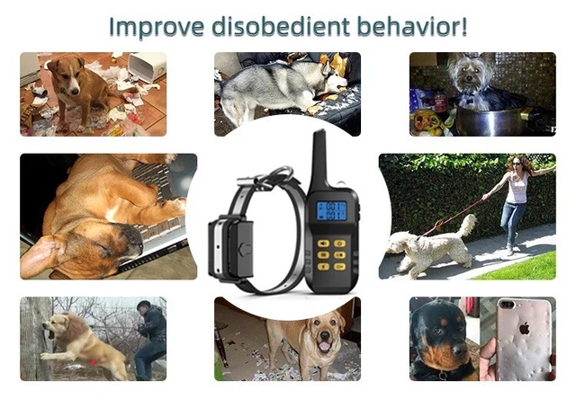 2-IN-1 REMOTE DOG Training +Automatic Barking Collar *Beeo+Vibration ...