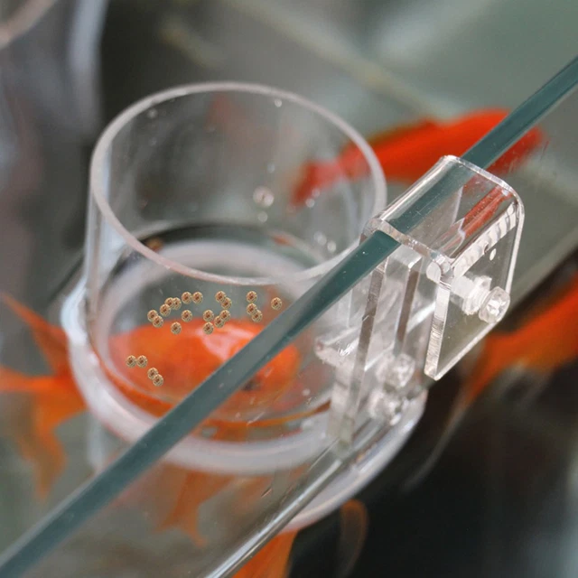 FISH FEEDING RINGS, Floating Device Tank Accessories Betta Circle $24. ...