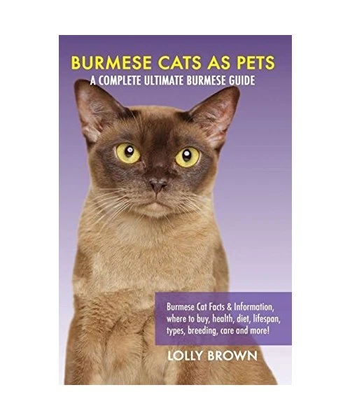 BURMESE CATS AS Pets: Burmese Cat Facts & Information, where to buy ...