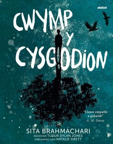 SITA BRAHMACHARI NATALIE Sirett Darllen yn Well: Cwymp y Cysgodion ...