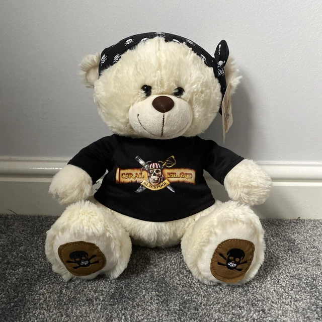 BLACKPOOL CORAL ISLAND Pirate Teddy Bear Soft Toy With Tags £13.99 ...