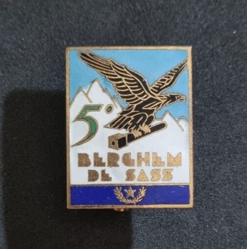 DISTINTIVO SPILLA ALPINI 5°Reggimento Alpini Bergher De Sass Nuovo EUR ...