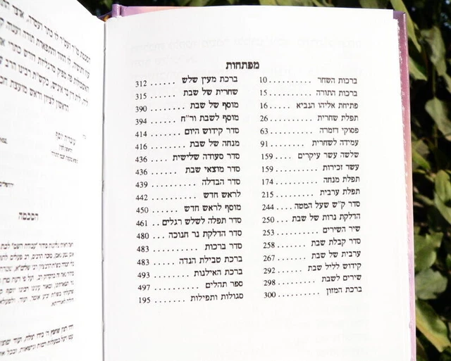 PINK GIRL WOMAN HEBREW SIDDUR Jewish Prayer Book + Psalms Sefaradi Bat ...