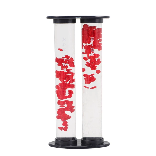 COMPARISON MODEL ANATOMICAL Anatomy Human Body Vessel for Teaching £18. ...