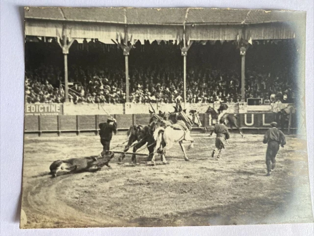 PHOTO TORÉADOR TORERO Arènes des Amidonniers de Toulouse 1914 EUR 9,00 ...