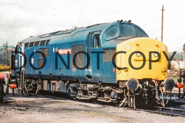 UK DIESEL TRAIN Railway Photograph Of Class 37 Loco 37207. Rm37-706 £1. ...