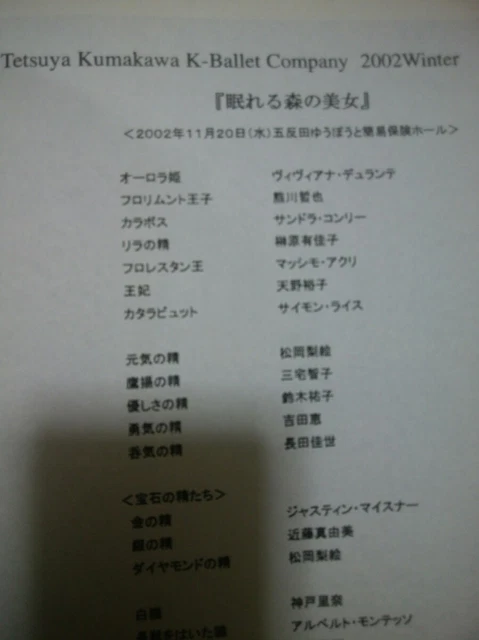 KUMAGAWA TETSUYA SLEEPING Beauty 2002 pamphlet £51.03 - PicClick UK