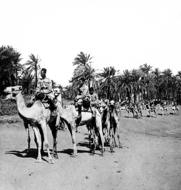 DESERT CARAVAN LEAVING an oasis Egypt early twentieth century Old Photo ...