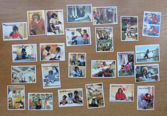 THE SECRET DIARY of Kevin Tipps PG Tips 24 Promotion Cards 1995 £3.00 ...