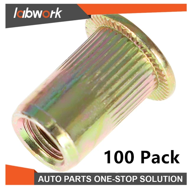 LABWORK FLAT HEAD Rivnut Threaded Insert Nut Carbon Steel Nut 100 Pack ...