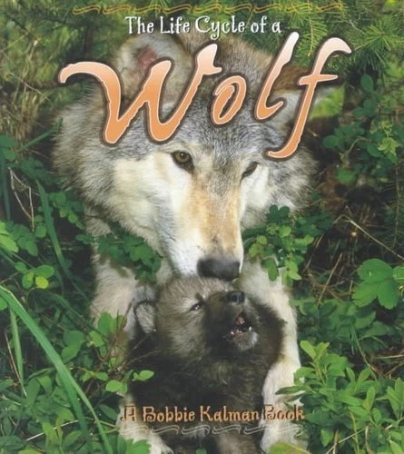 THE LIFE CYCLE of the Wolf by Bobbie Kalman 9780778706878 | Brand New £ ...