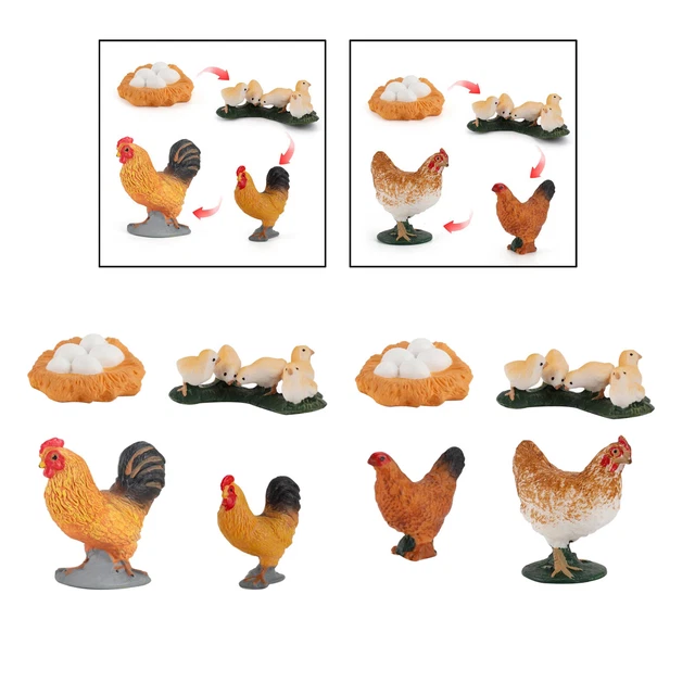 ANIMAL CHICKEN LIFE Cycle Model Set 4 Stages Hen Rooster Figures ...