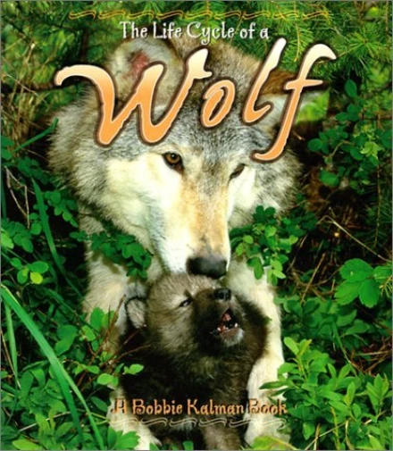 BOBBIE KALMAN THE Life Cycle of the Wolf (Paperback) £8.82 - PicClick UK