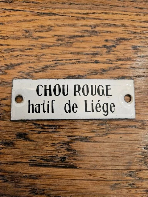 PLAQUE ÉMAILLÉE DE jardin - Chou rouge - EUR 49,00 - PicClick FR