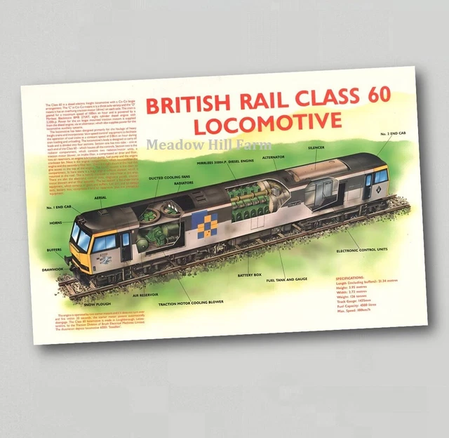 BR CLASS 60 Brush Diesel locomotive Art Diagram Fridge Magnet British ...
