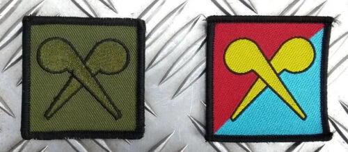 CBRN REGIMENT TRF Patch Badge Chimique,Biologique,Radiological ...