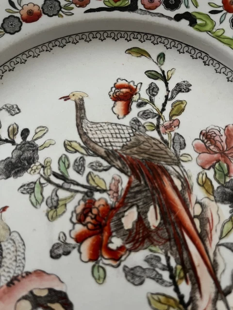 ANTIQUE PLATE IMPROVED Ironstone China circa 1820 good condition £85.95 ...
