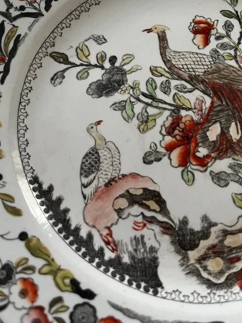 ANTIQUE PLATE IMPROVED Ironstone China circa 1820 good condition £80.55 ...