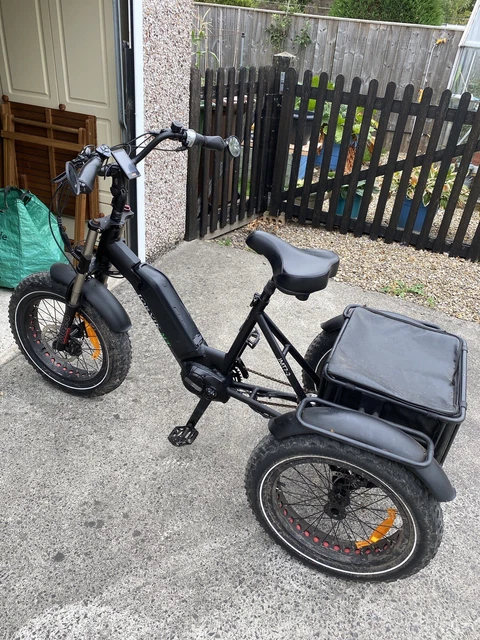 ELECTRIC MOUNTAIN TRIKE Jorvik JMT7 £1,429.58 - PicClick UK