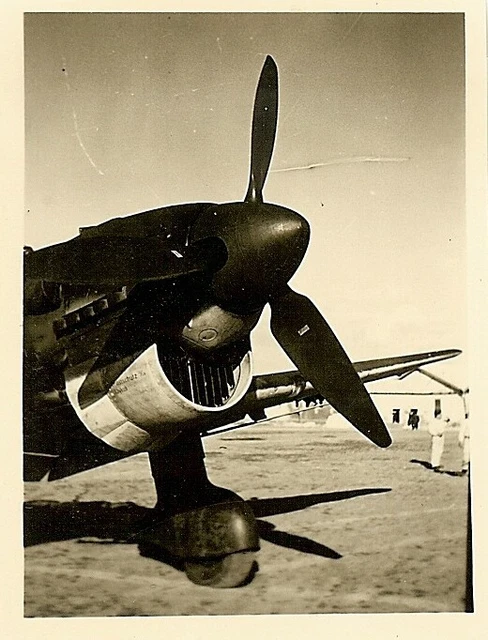 **BEST! FRONT VIEW Luftwaffe Junkers Ju-87 STUKA Bomber Parked on ...