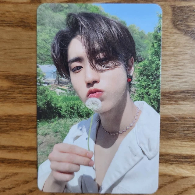 HAN OFFICIAL PHOTOCARD Stray Kids Mini Album Maxident Genuine Kpop £6. ...