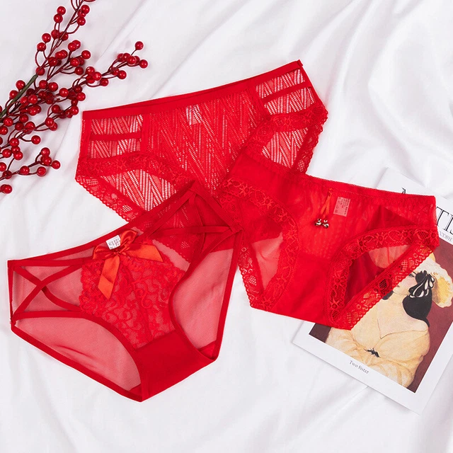 SEXY WOMEN'S MESH Panties See Through Sheer Briefs Lingerie Underwear ...