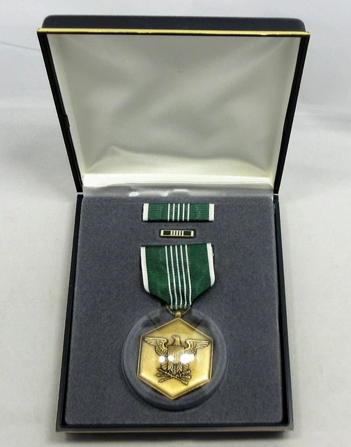 VIETNAM WAR ARMY Military Merit Named Medal & Ribbons Complete Set With ...