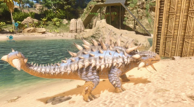 ARK SURVIVAL ASCENDED Anky Ankylosaurus PVE PS5/XBOX/PC Official EUR 4 ...