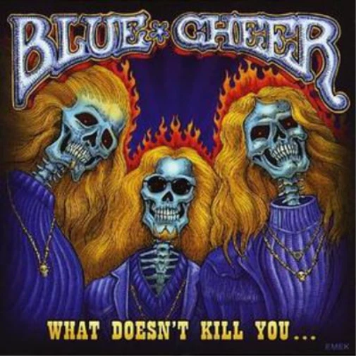BLUE CHEER WHAT Doesn't Kill You (CD) Album EUR 10,27 - PicClick FR
