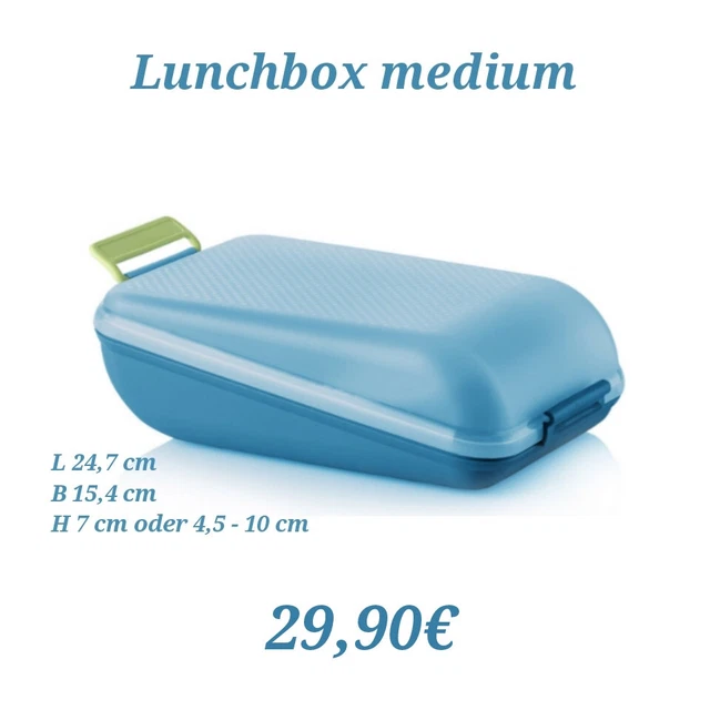 TUPPERWARE XXL BROTBOX Vesperbox Rarität Lunchbox Medium Brotdose NEU ...