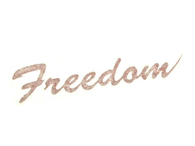 GENUINE NEW FORD FREEDOM DECAL Red Emblem Logo Sticker Escort Fiesta ...