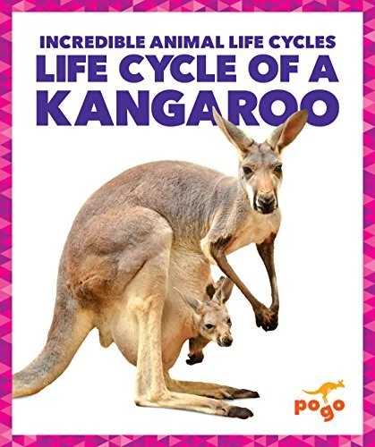 LIFE CYCLE OF a Kangaroo (Incredible Animal Life Cycles) by Latchana ...