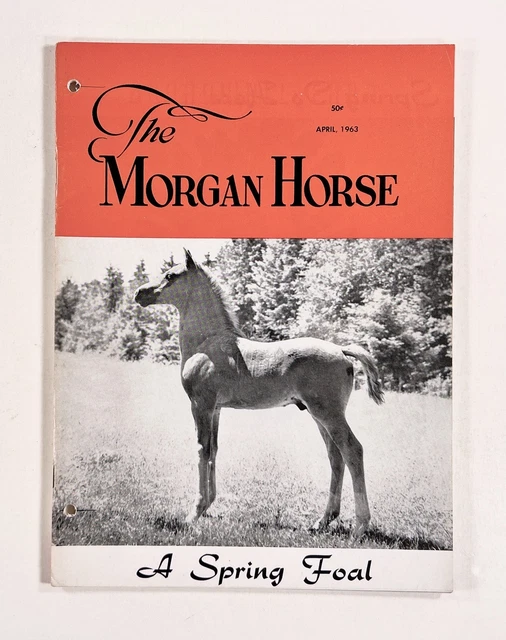 1963 APR THE MORGAN HORSE Riding BREEDING Horse Shows CLUB NEWS ...