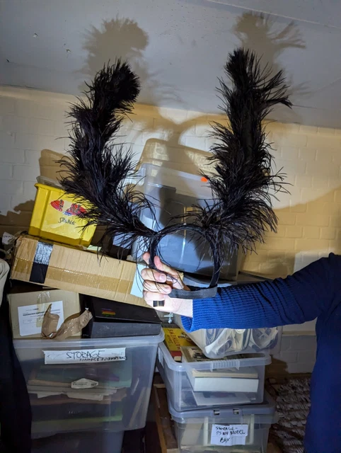 FEATHER BLACK HEADDRESS fancy dress costume halloween festival theatre ...