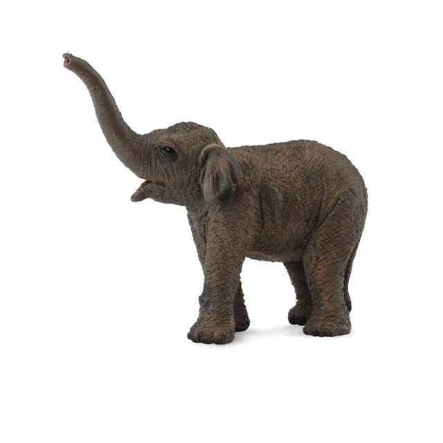 COLLECTA REALISTIC ANIMAL Replica Asian Elephant Claf Figure Small Ages ...