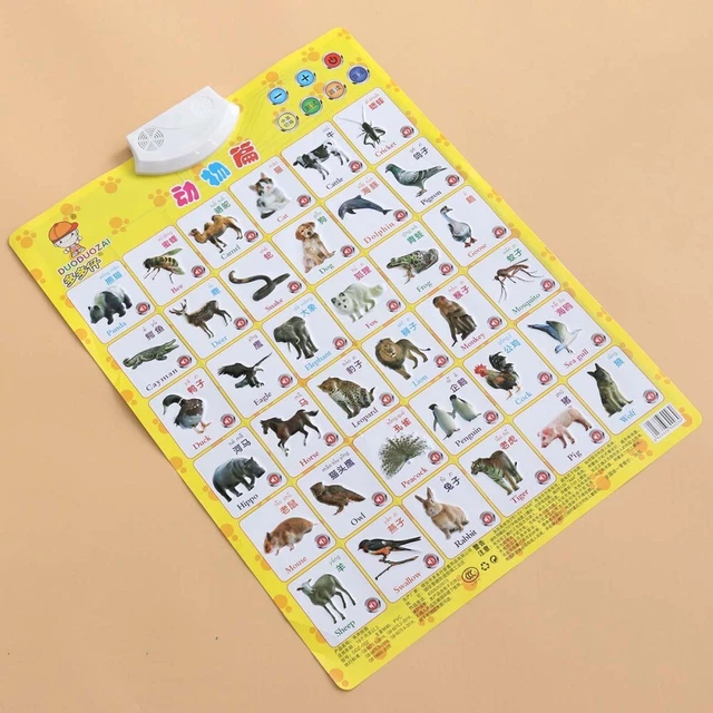WALL CHARTS TODDLERS Preschool Toys Educational Toys Sound Wall Chart £ ...